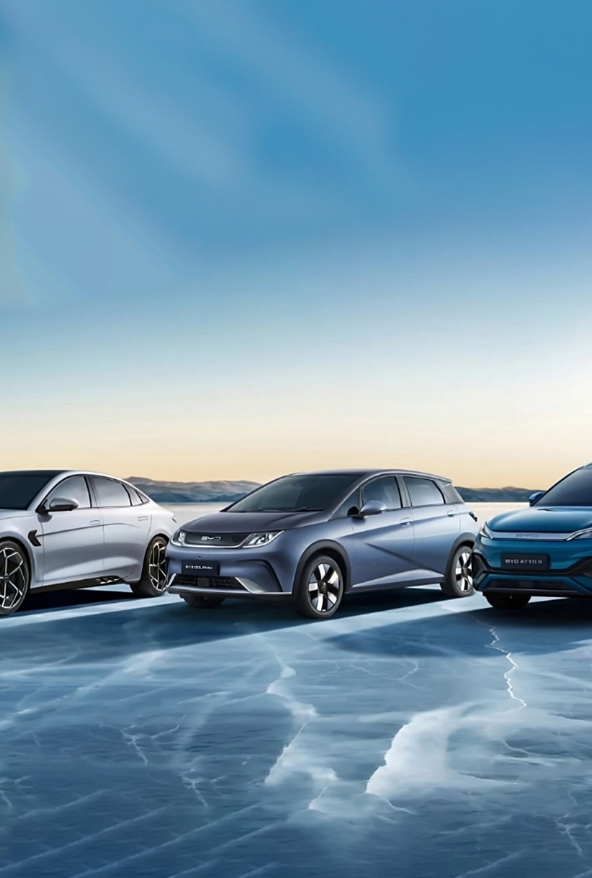 BYD Waterford | BYD Waterford